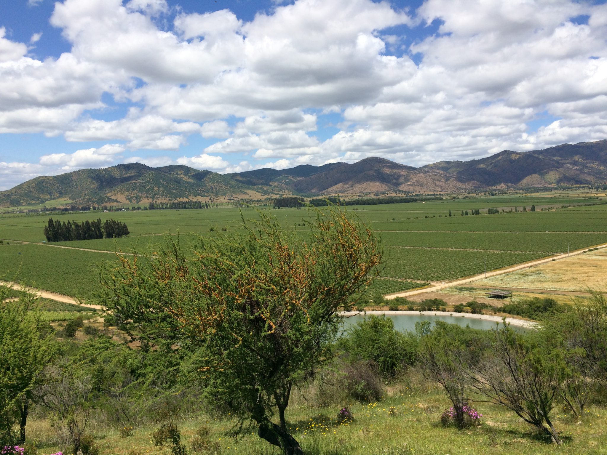 A 10 Day Road Trip Through Central Chile - Gerbers UnderWay