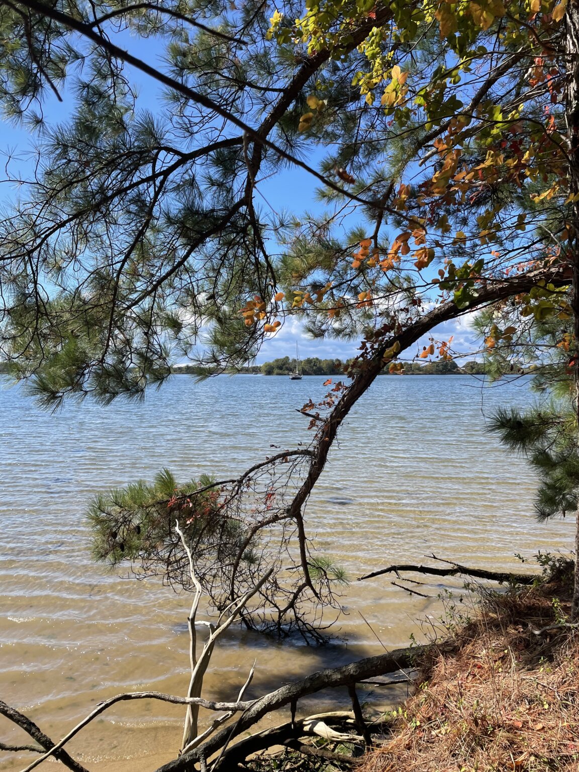 Cruising the Chesapeake Bay in the Fall - Gerbers UnderWay
