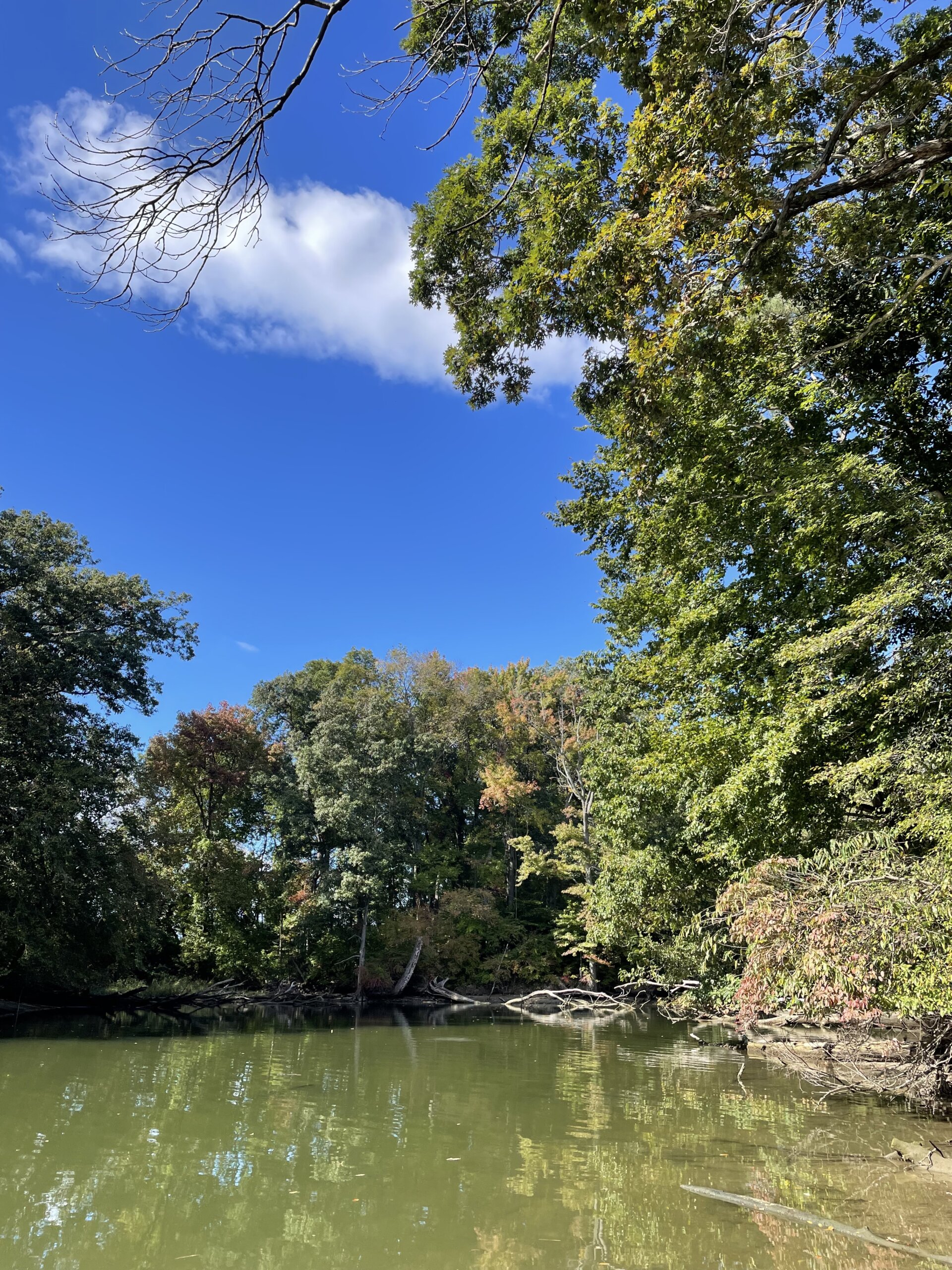 Cruising the Chesapeake Bay in the Fall - Gerbers UnderWay